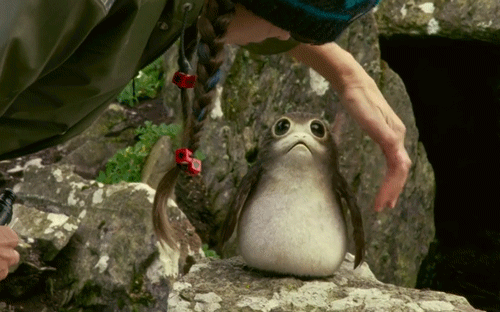 Por qué son tan adorables los Porgs | Criaturitas y Esperpentos